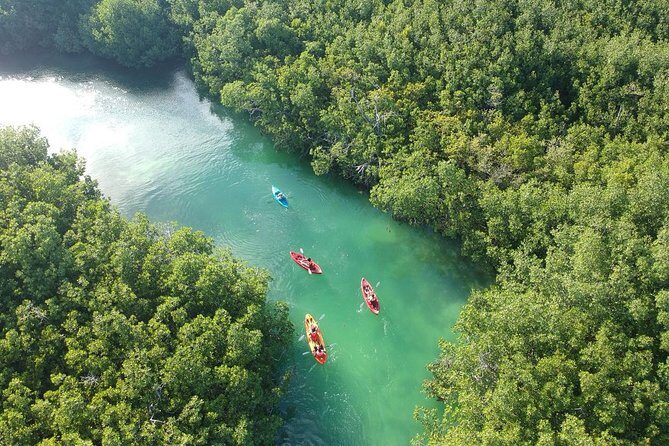 Kayak adventure through Laguna Nichupté in Cancun - Why This Tour Is Worth Your While