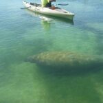Kayak Eco Tour in Don Pedro Island - What’s Included and How It Works