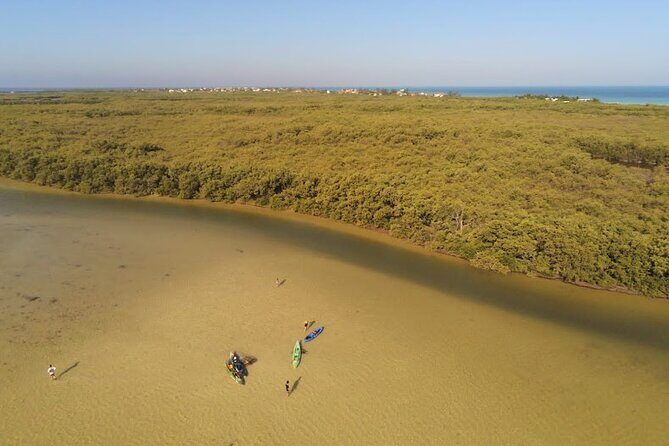 Kayak Experience in the Mangroves of Holbox Island - Who Should Consider This Tour?