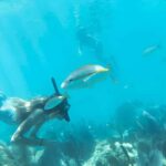 Kayak + Guided Snorkel & Morning Sail - Frequently Asked Questions