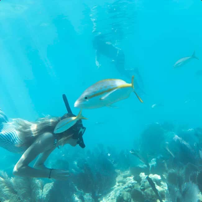 Kayak + Guided Snorkel & Morning Sail - Frequently Asked Questions