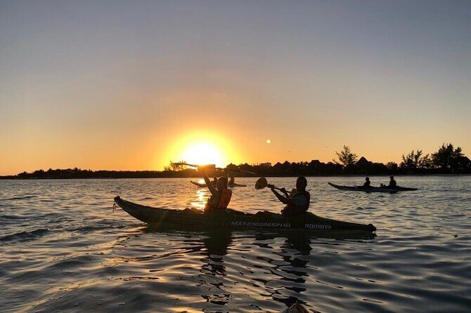 Kayak Mangroves Sunrise Experience - The Sum Up: Who Will Love This Tour?