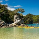 Kayak & Pitt Head Nature Loop - Guided Kayak & Unguided Walk - New Zealand - The Itinerary in Detail