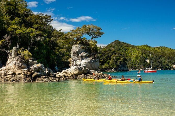 Kayak & Pitt Head Nature Loop - Guided Kayak & Unguided Walk - New Zealand - The Itinerary in Detail