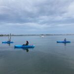Kayak Rentals - Experience and Wildlife Viewing