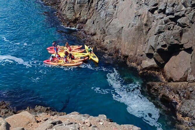 Kayak The Jacket and Flea market Private Tour - Authentic Experiences & Real-World Insights