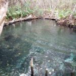 kayak through mangroves to secret beach - Logistics and Practical Details