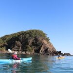 Kayak Turtle Tour from Palm Cove - Key Points