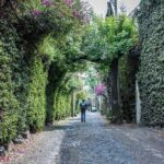 Kayaking adventure through the Xochimilco and Frida Kahlo Canals - Final thoughts: Is this tour right for you?