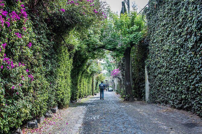 Kayaking adventure through the Xochimilco and Frida Kahlo Canals - Final thoughts: Is this tour right for you?