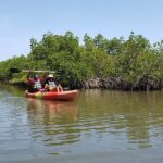 Kayaking Backwaters of New Smyrna Beach Ecotour/Birdwatching - Key Points