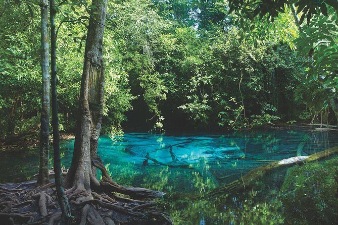Kayaking in Ao Thalane - Discover the Mangrove life - The Experience: Authentic, Scenic, and Educational