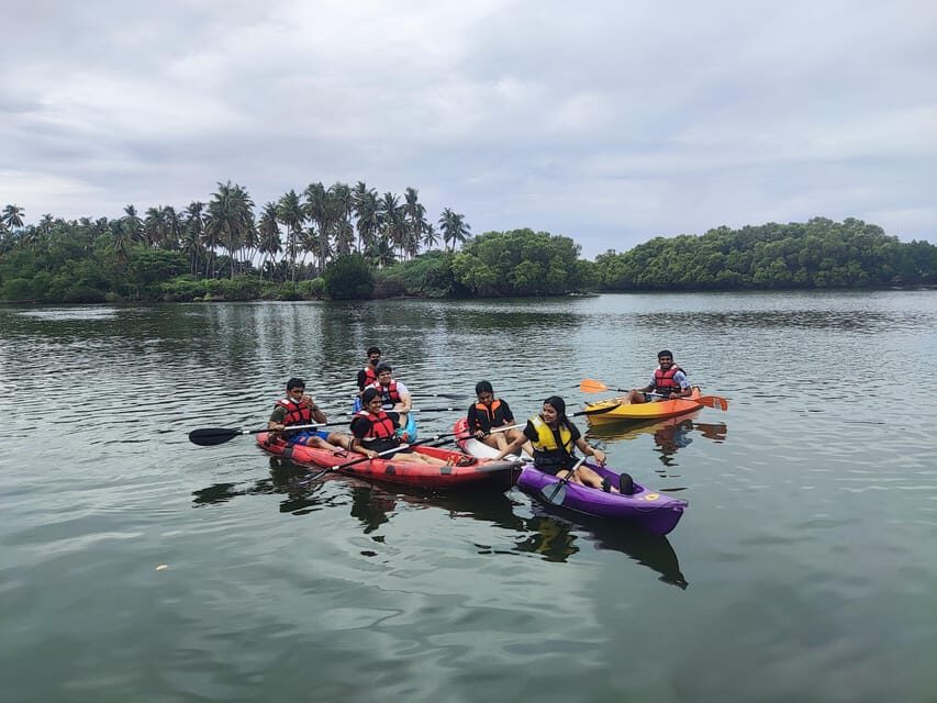 Kayaking in Backwaters of Pondicherry - Final Thoughts: Is It Worth It?