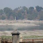Kaziranga National Park & Guwahati - Wildlife Safaris: Expectations versus Reality