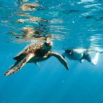Kealakekua Bay Dolphin Watching, Snorkeling Boat Tour, BBQ - FAQs