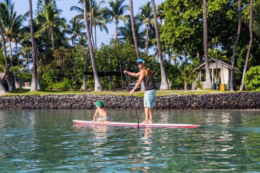 Kealakekua Bay: Stand-Up Paddleboard Lesson or Tour - Authentic Hawaiian Culture and Marine Encounters