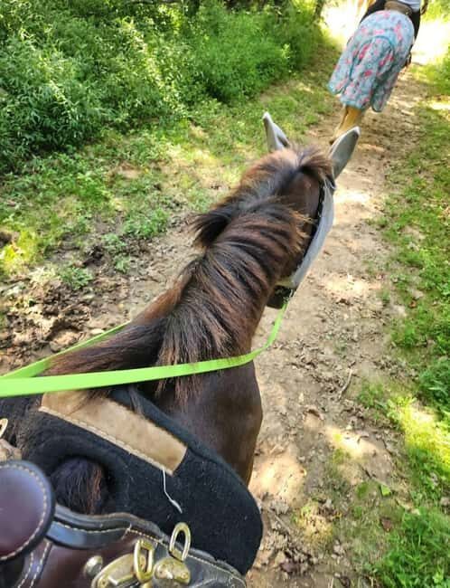 Keeneland: Horseback Riding Experience with Guide - An In-Depth Look at the Experience