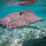 Keishi Tour Half Day Shared Excursion - What Our Readers Say: Authenticity and Expert Guides