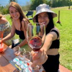 Kelowna: East Kelowna Full Day Guided Wine Tour - Why Travelers Love This Tour
