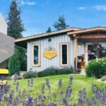 Kelowna Guided E-Bike Wine Tour with Tastings and Okanagan Lunch - First Stop: Sperling Vineyards