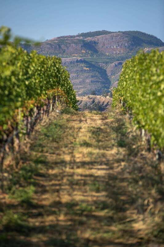 Kelowna: Lake Country Half Day Guided Wine Tour - Who Is This Tour Best For?