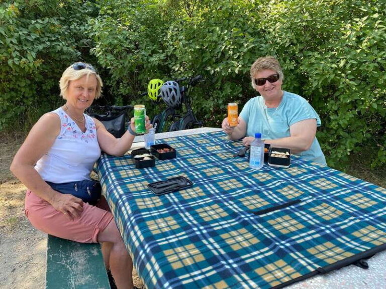 Kelowna: Okanagan Lake Guided E-Bike Tour with Picnic - Who Should Consider This Tour?