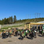 Kelowna: Wine Tasting by E-bike, Smartphone Guide & Lunch - How the Tour Works in Practice
