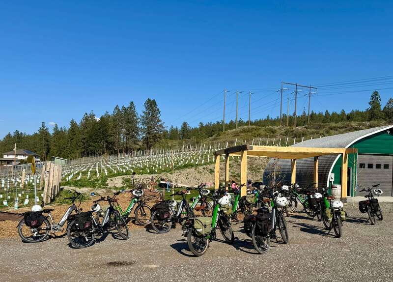 Kelowna: Wine Tasting by E-bike, Smartphone Guide & Lunch - How the Tour Works in Practice
