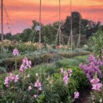 Kennett Square: Longwood Gardens Admission Ticket - Is Longwood Gardens Worth the Price?