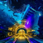Kenting: National Museum of Marine Biology & Aquarium - What You Can Expect at the Marine Museum