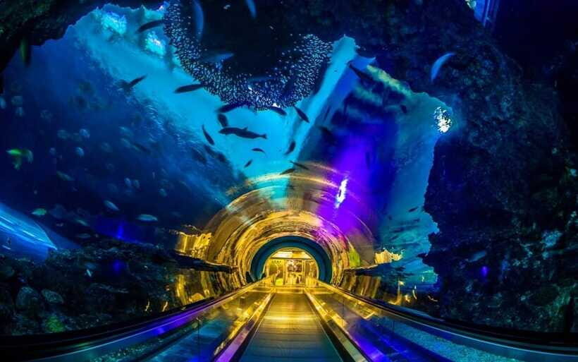 Kenting: National Museum of Marine Biology & Aquarium - What You Can Expect at the Marine Museum