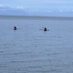 Keogh River Bear Kayaking Tour - Who Should Consider This Tour?