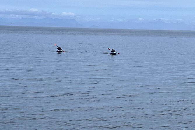 Keogh River Bear Kayaking Tour - Who Should Consider This Tour?