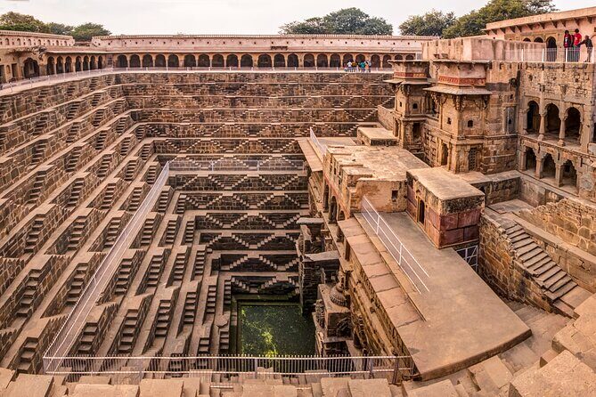 Keoladeo Birds Park Tour From Agra To Jaipur Including Entry - What Travelers Say: Authentic Perspectives