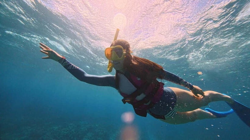 Kerama Half-Day Snorkeling Tour - What Is Included and What Isn’t