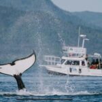 Ketchikan: Orca Cove Fast Boat and Sea Kayak Tour - What makes this tour special
