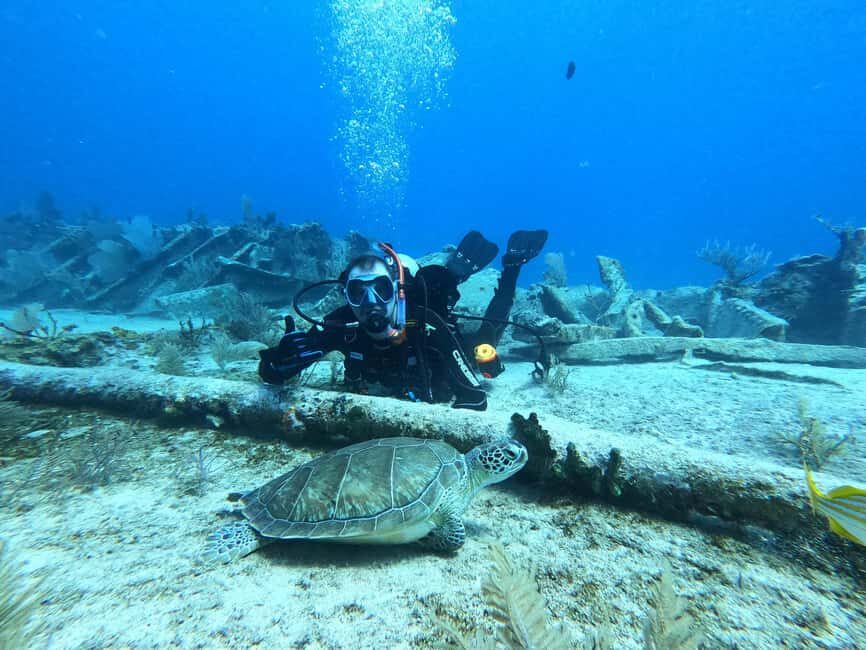 Key Largo: 2-Tank Shallow Reef Dive with Guide & Photos - The Practical Side: Price, Duration, and Value