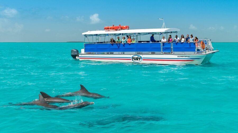 Key West: Dolphin Watching and Snorkeling Eco Cruise Tour - The Value and Unique Aspects