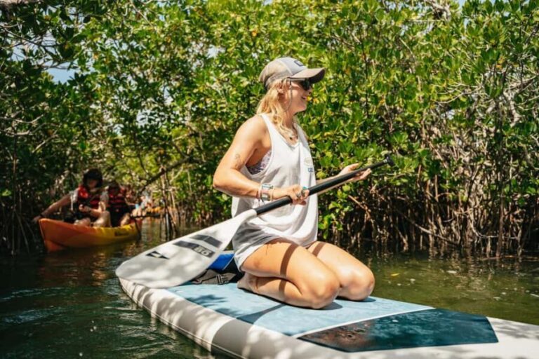 Key West: Hidden Sanctuary Kayak Tour with Sandbar Safari - Who Should Book This Tour?