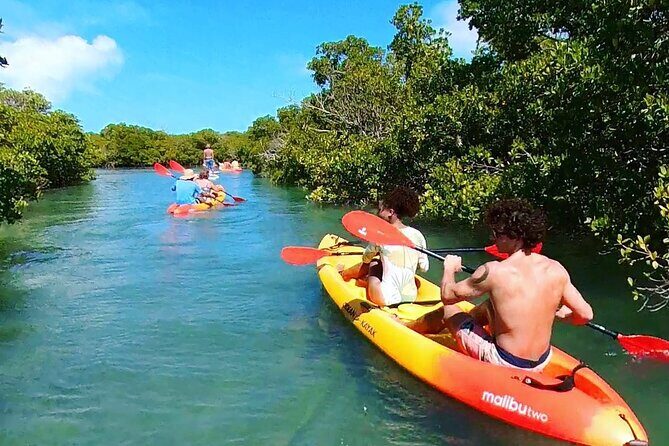 Key West Hidden Sanctuary Mangrove Kayak Tour With Drinks - Why This Tour Stands Out