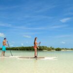 Key West: Island Adventure Explore the Hidden Backcountry - The Journey Begins: Cruising Through Mangroves