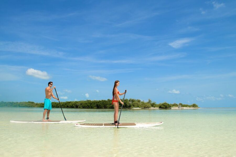 Key West: Island Adventure Explore the Hidden Backcountry - The Journey Begins: Cruising Through Mangroves