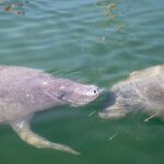 Key West: Private Boat Charter with Captain - What Makes This Tour Stand Out?
