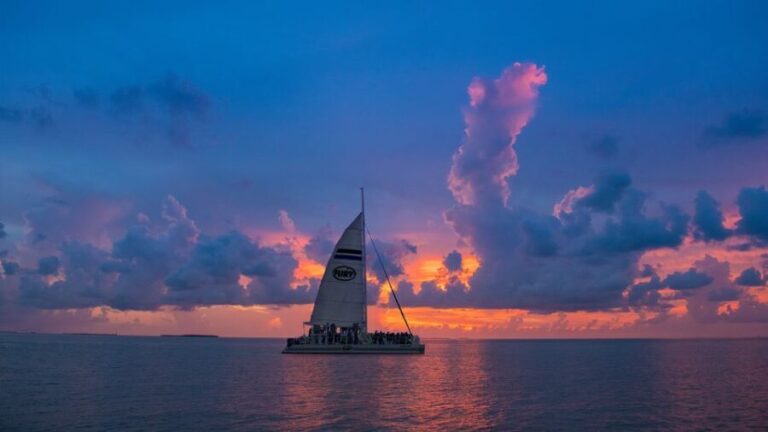 Key West: Sunset Sail with Live Band, Drinks, and Appetizers - The Experience in Detail: What Youll Actually Do