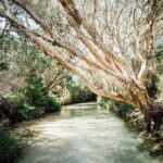 K'gari (Fraser Island) 4-Day Experience Tour From Hervey - Why the Price Reflects Value