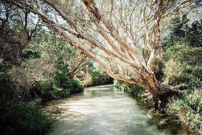 K'gari (Fraser Island) 4-Day Experience Tour From Hervey - Why the Price Reflects Value