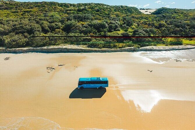 K'gari (Fraser Island) 5-Day Ultimate From Hervey Bay + Illumina - Summary of the Experience