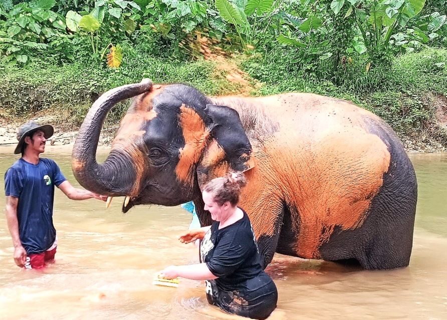 Khao Lak: Elephant Sanctuary Guided Tour - What Makes This Tour Stand Out?