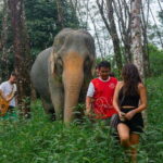 Khao Lak Guided Nature Walk & Elephant Experience - Exploring the Experience in Detail