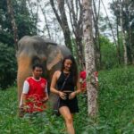 Khaolak: Begin the Day with Elephants - Walk and Feed Tour - Authentic and Well-Organized Experience